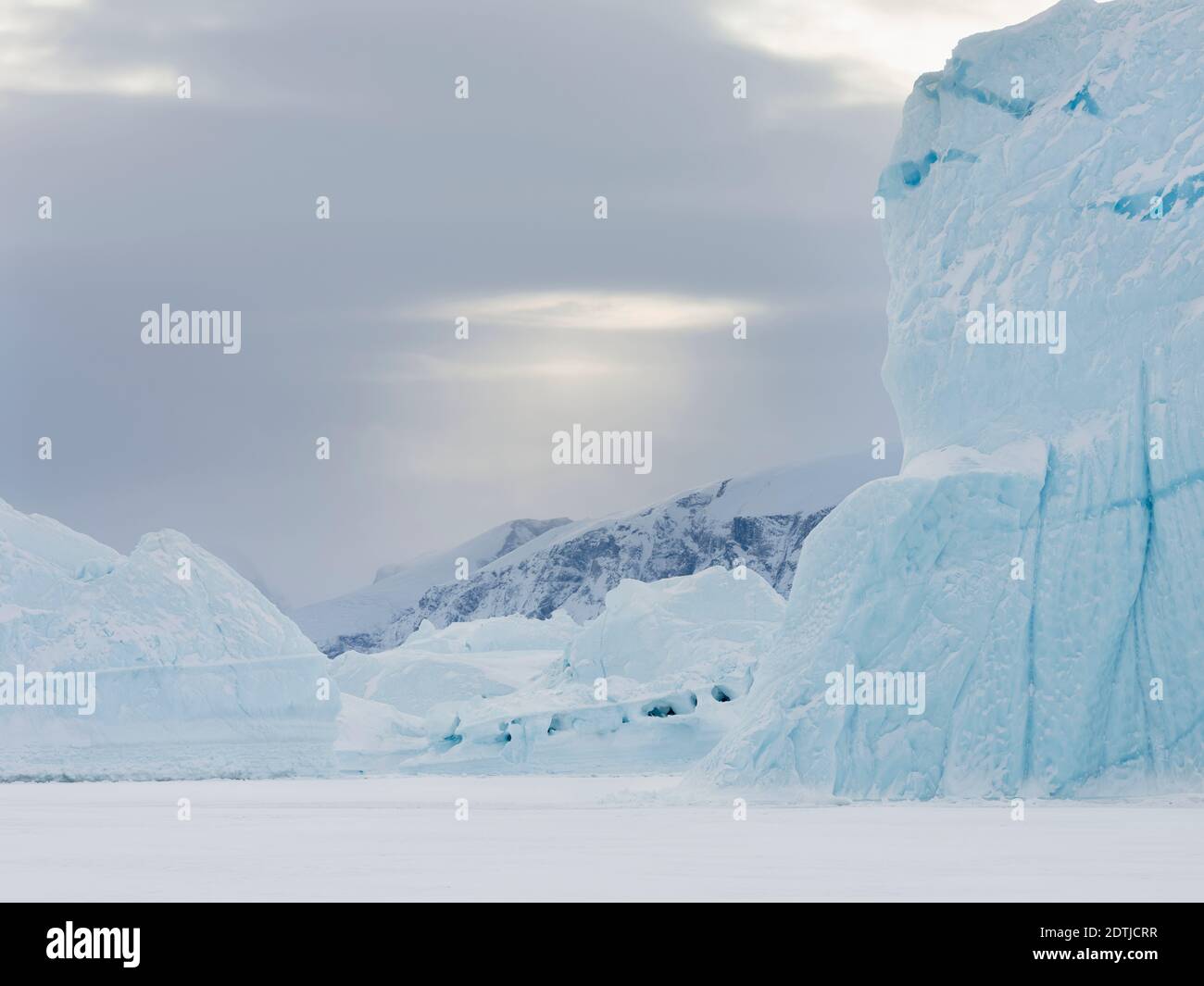 Icebergs frozen into the sea ice of the Uummannaq Fjordsystem during ...
