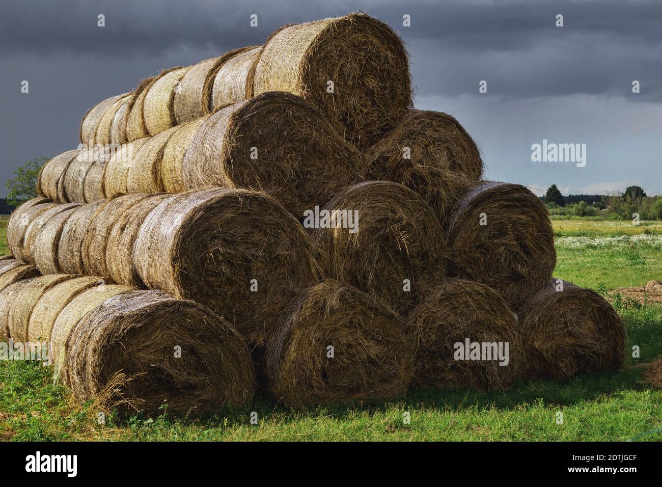 Pile of haystacks in the field Stock Photo - Alamy
