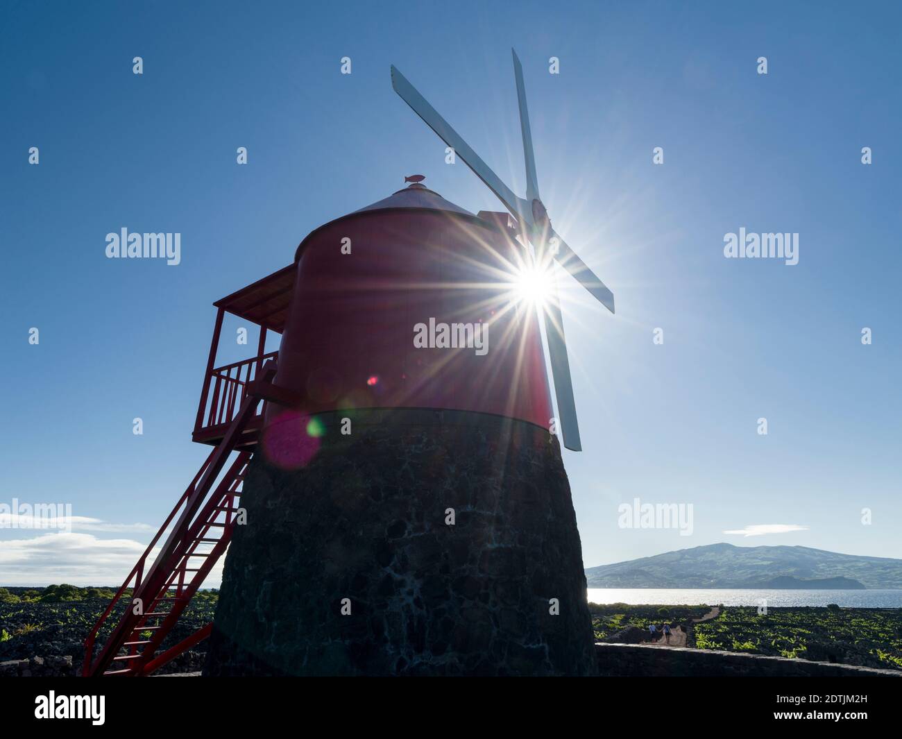 Traditional windmill near Criacao Velha. Pico Island, an island in the ...