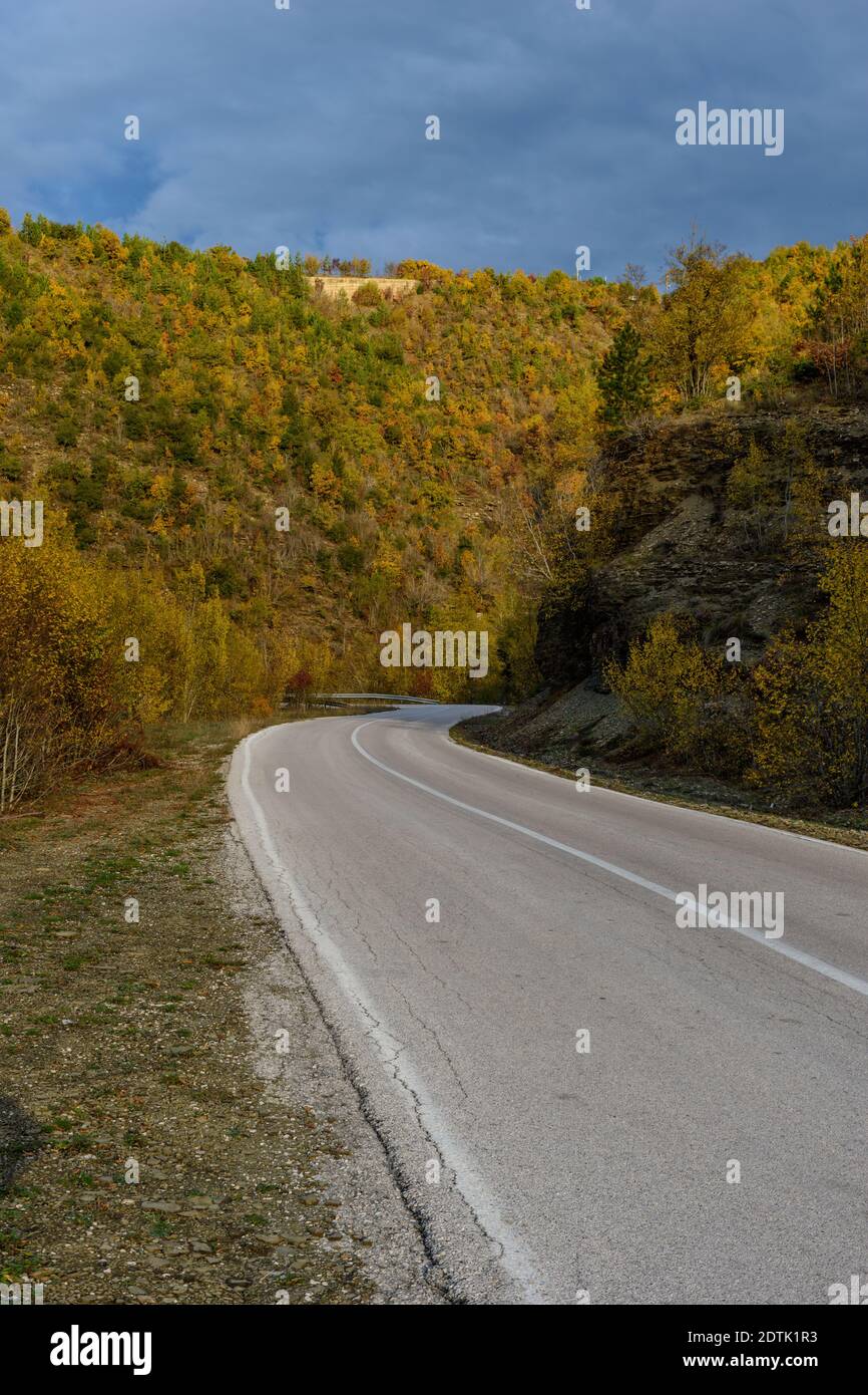 street view of the forest with fall colours near tsepelovo village ...