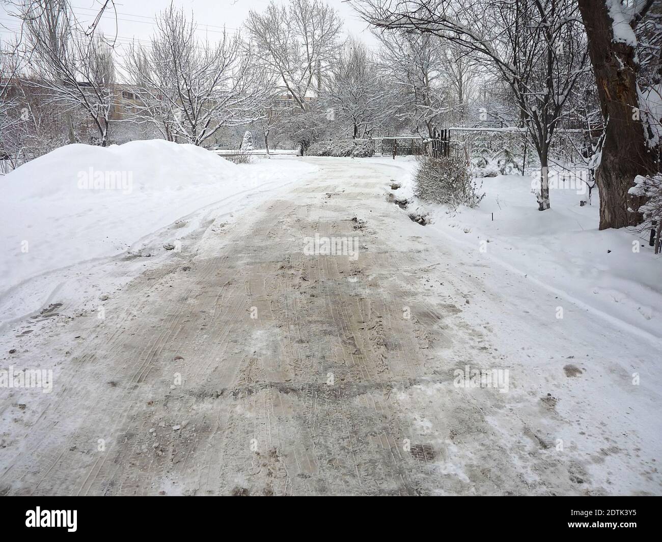 Road through the trees in winter is covered with a thick layer of dirty ...