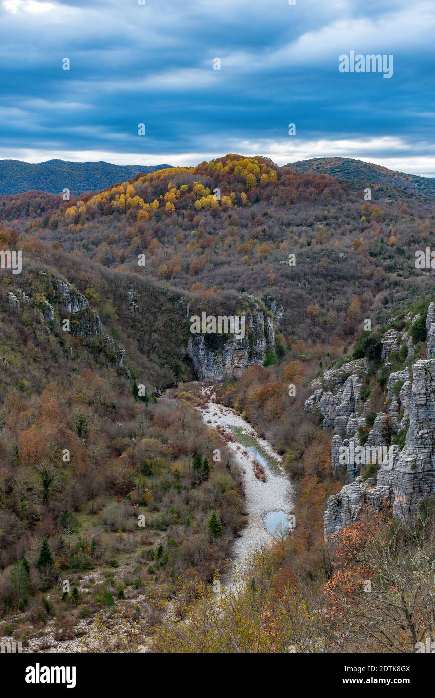 View of the forest with fall colours near tsepelovo village zagori ...