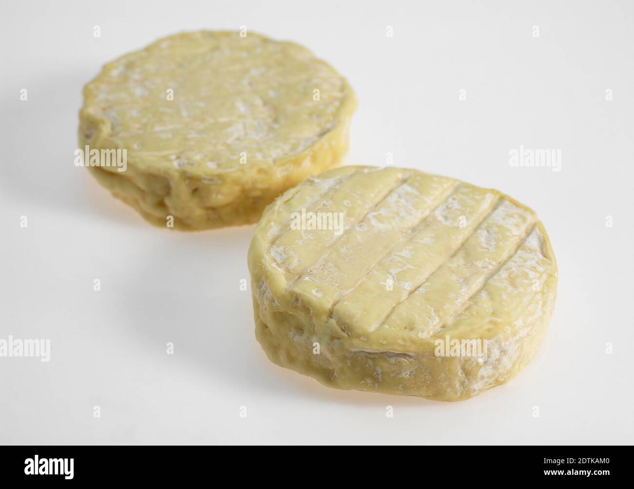 Saint Marcellin, French Cheese produced from Cow's Milk Stock Photo - Alamy
