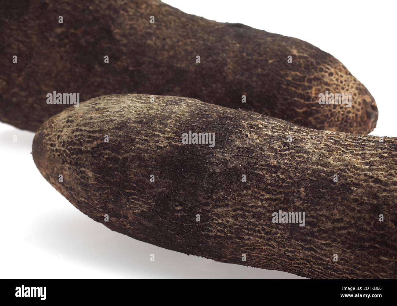 Yam, dioscorea sp. against White Background Stock Photo - Alamy