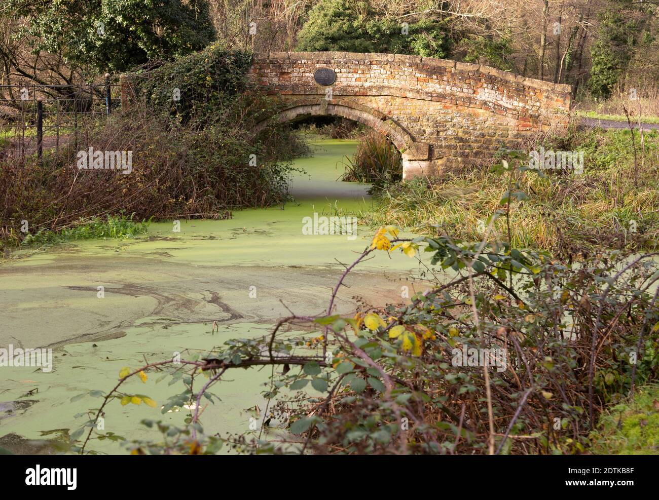 Historic packhorse bridge on branch of Wiltshire and Berkshire canal ...