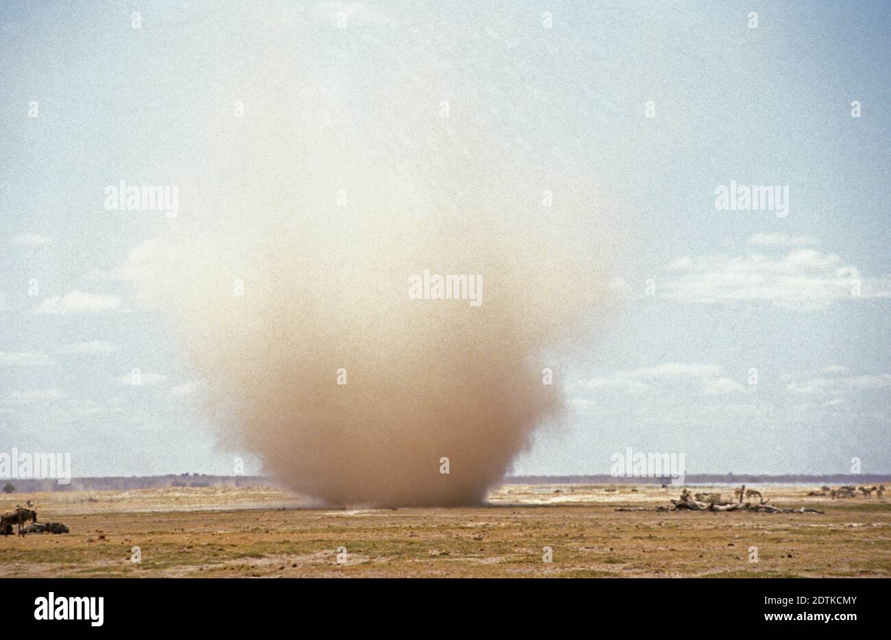 Sand Tornado in Kenya Stock Photo - Alamy