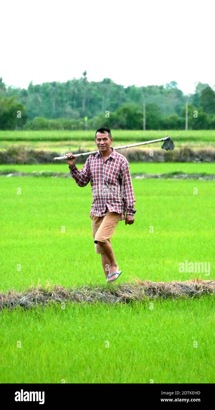 Indian agricultural tool hi-res stock photography and images - Alamy