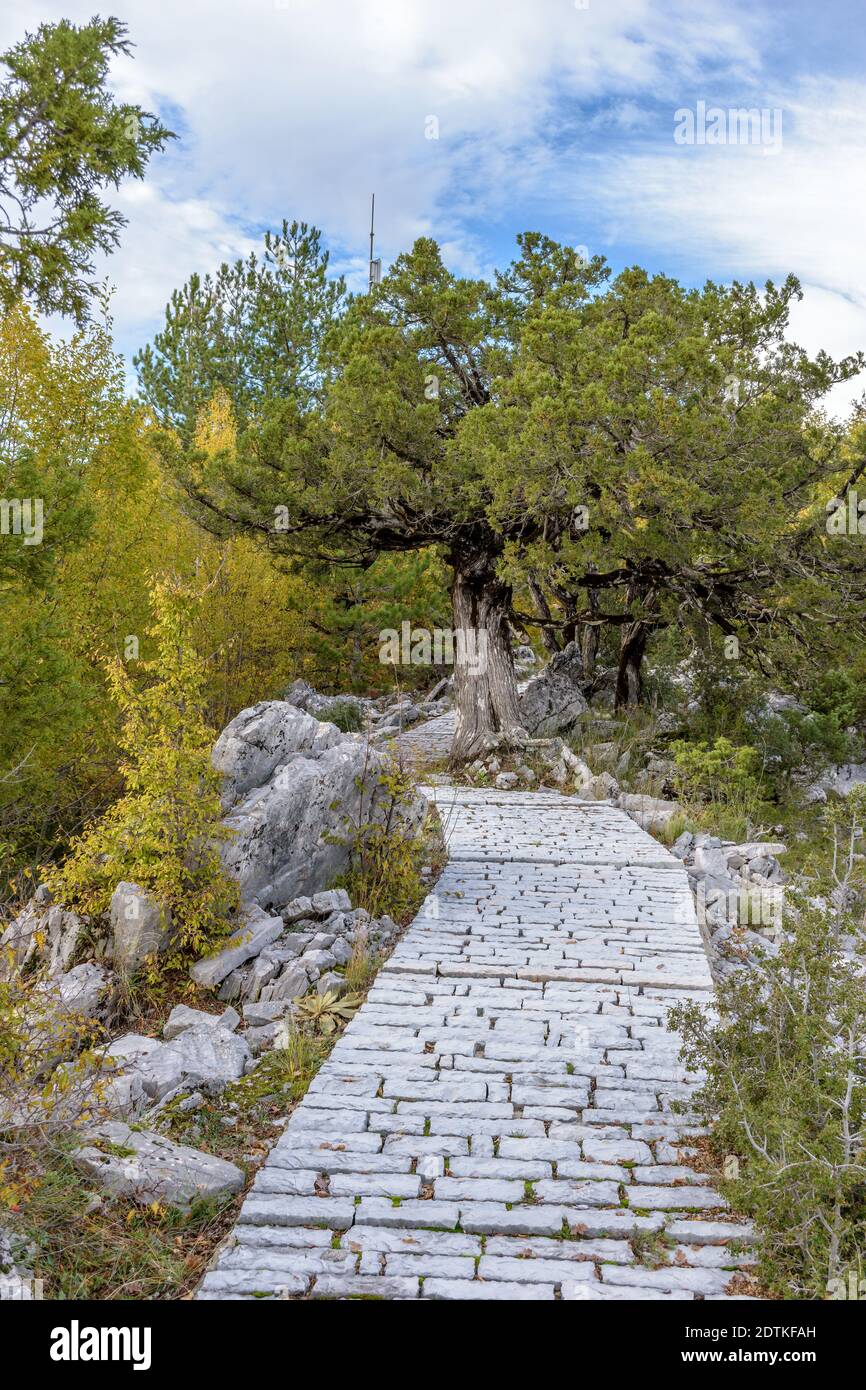 stone road in Tymfi mountain with fall colors near tsepelovo in Zagori ...