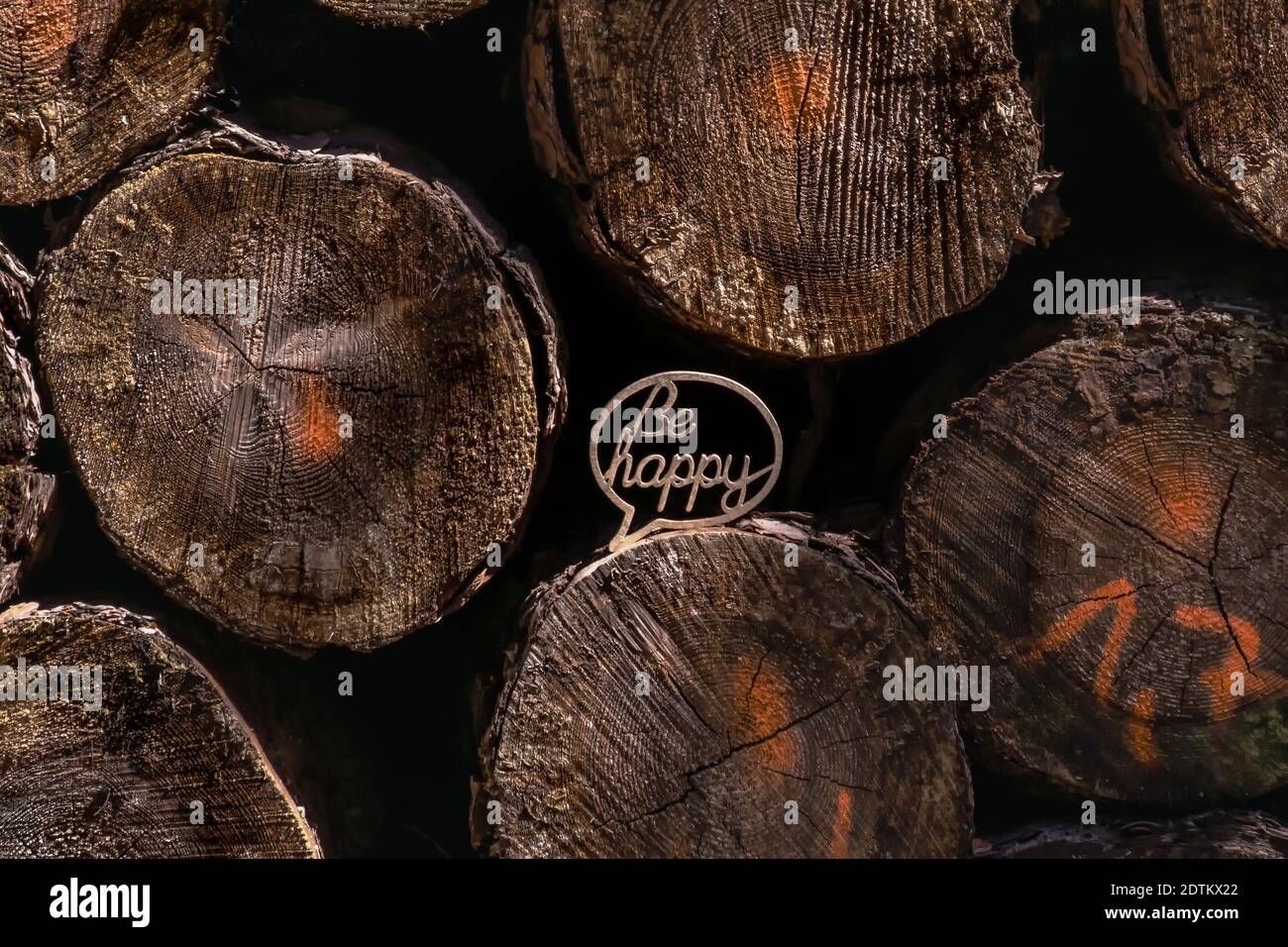 Tree log detail shot hi-res stock photography and images - Alamy
