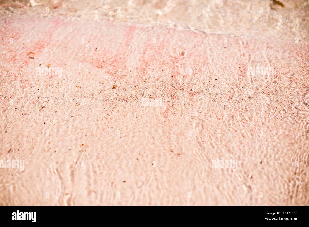 Beach pink sand background. Close up texture with unusual sea sand ...
