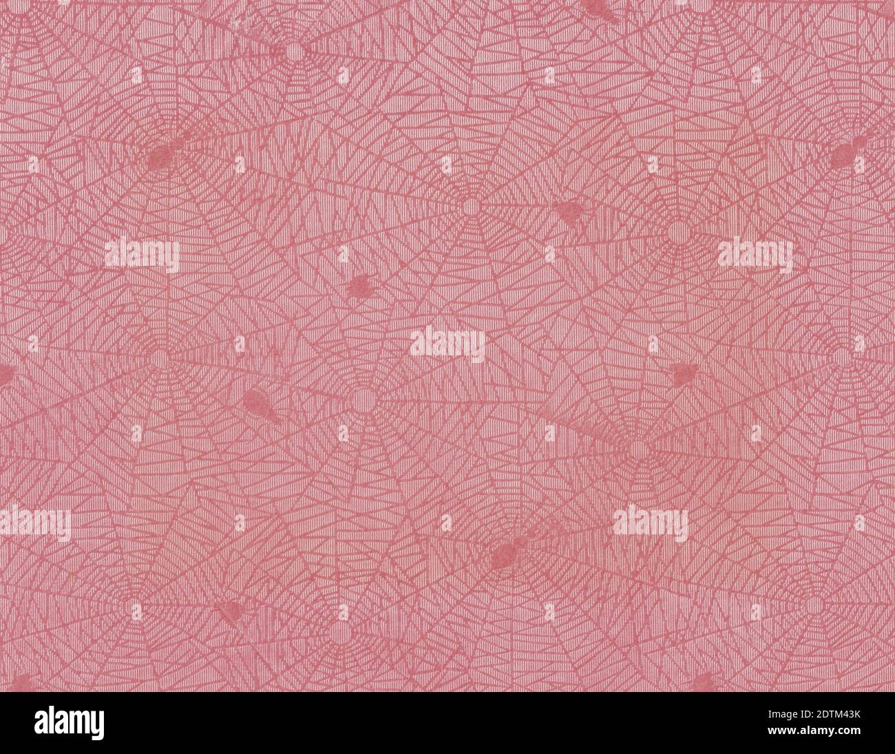 Old transparent spider paper on a pink background. Intermediate paper ...