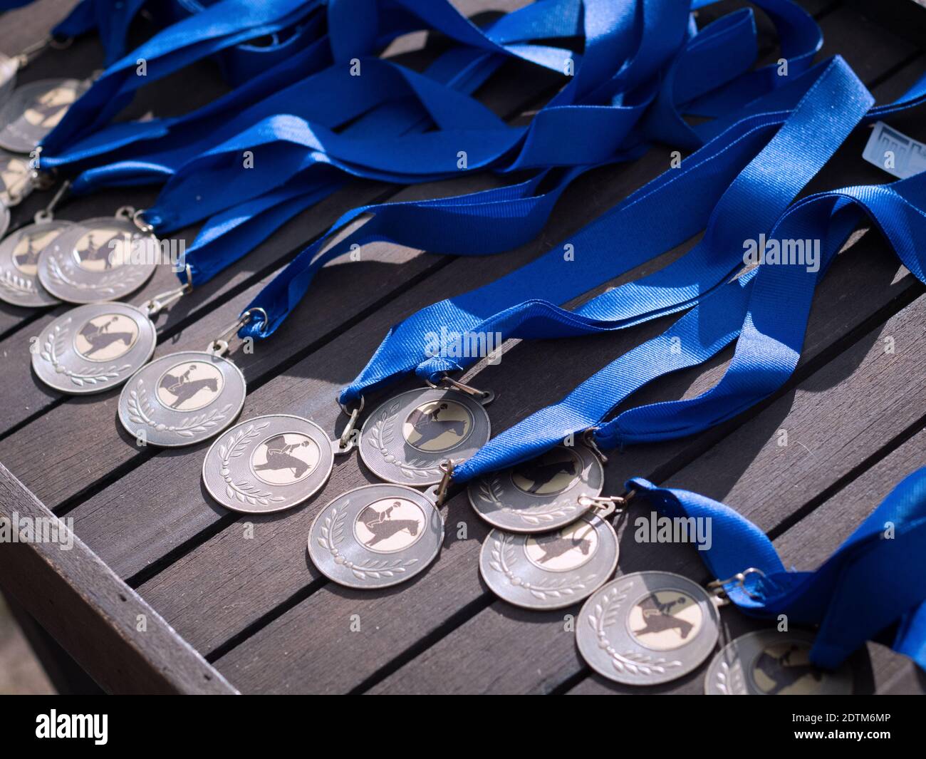 Equine medals hi-res stock photography and images - Alamy