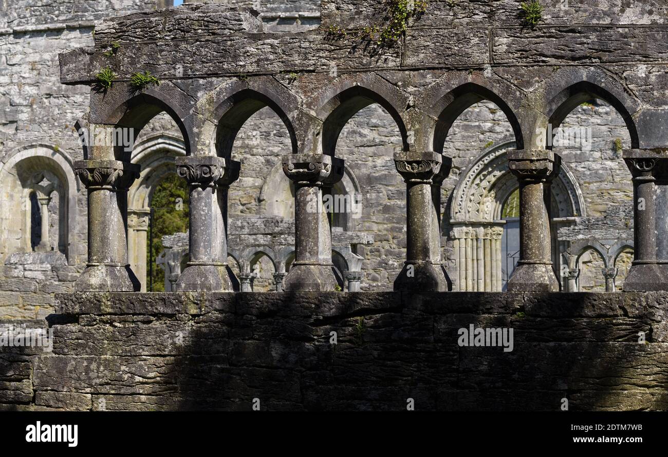 The ruins of the former Augustinian Cong Abbey is a historic site ...