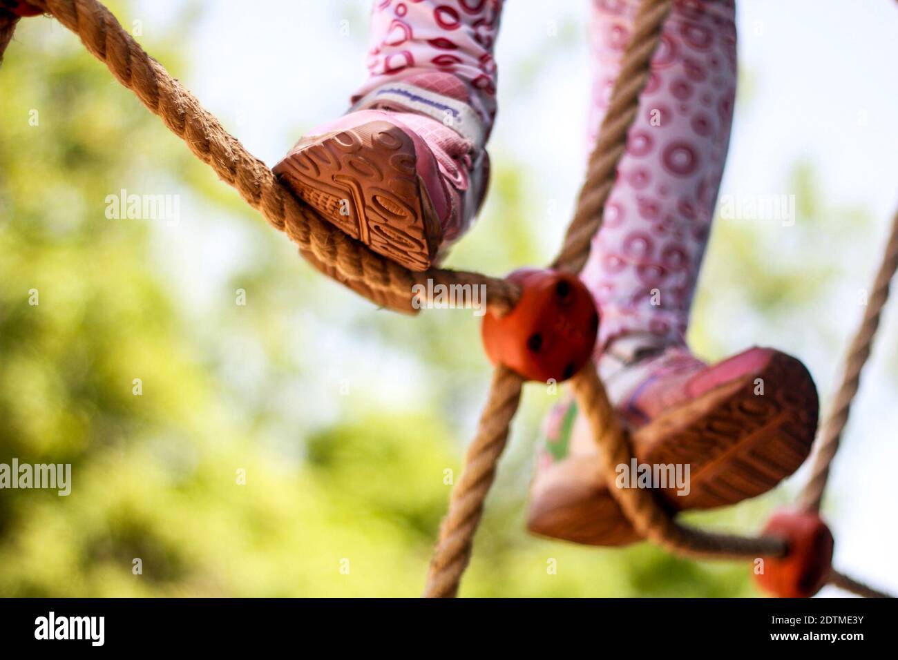 Animal climbing rope hi-res stock photography and images - Alamy