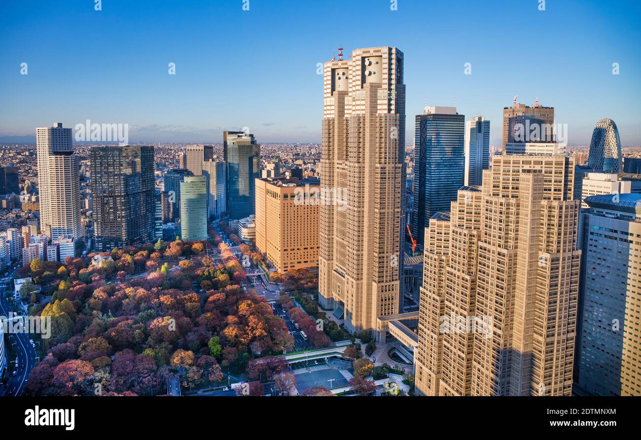 Japan, Tokyo City, Shinjuku District, Central Park, Tocho Building ...