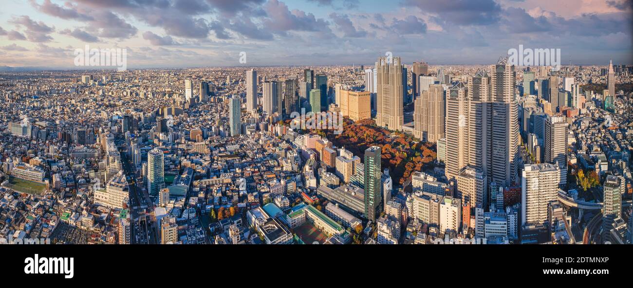 Japan, Tokyo City, Shinjuku District, entral Park, Tocho Building ...