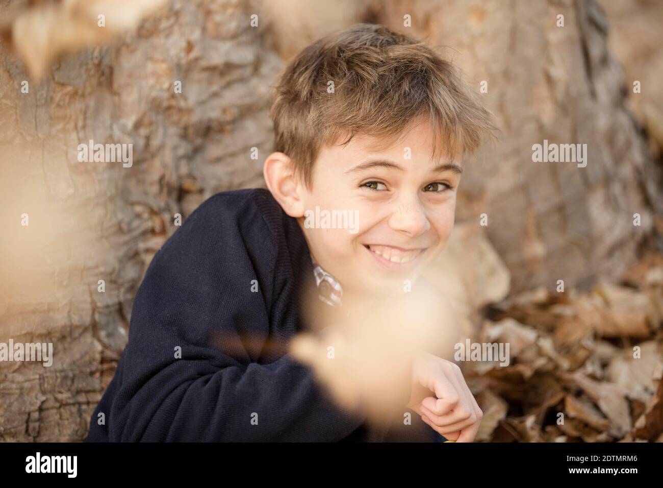 Autumn in the forest, boy under a tree Stock Photo - Alamy