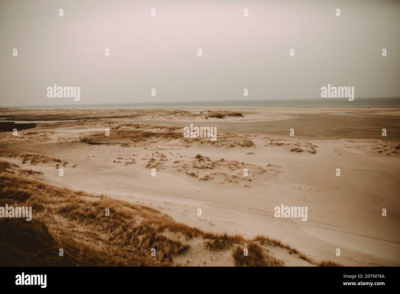 Amrum germany landscape hi-res stock photography and images - Alamy