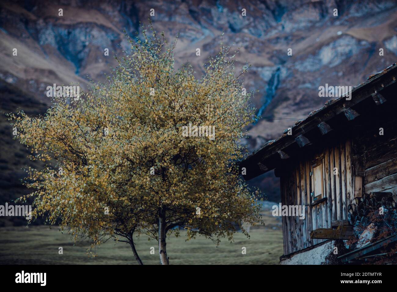 Flims, canton of graubunden hi-res stock photography and images - Alamy
