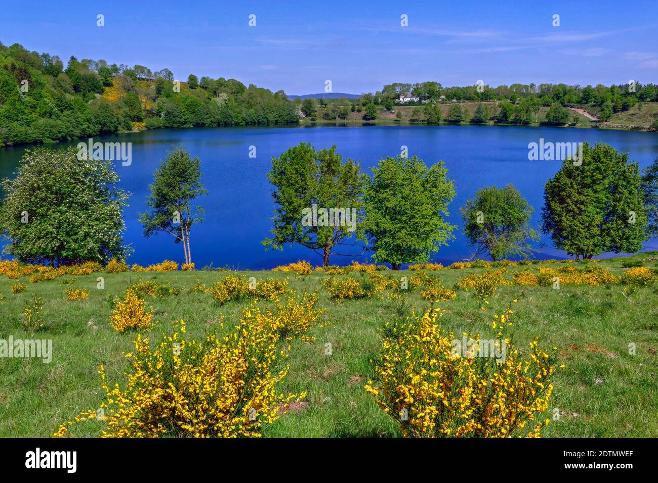 Weinfelder Maar (Totenmaar) near Daun, Vulkaneifel, Eifel, Rhineland ...