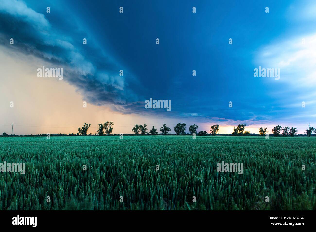 Thunderstorm over a field Stock Photo - Alamy