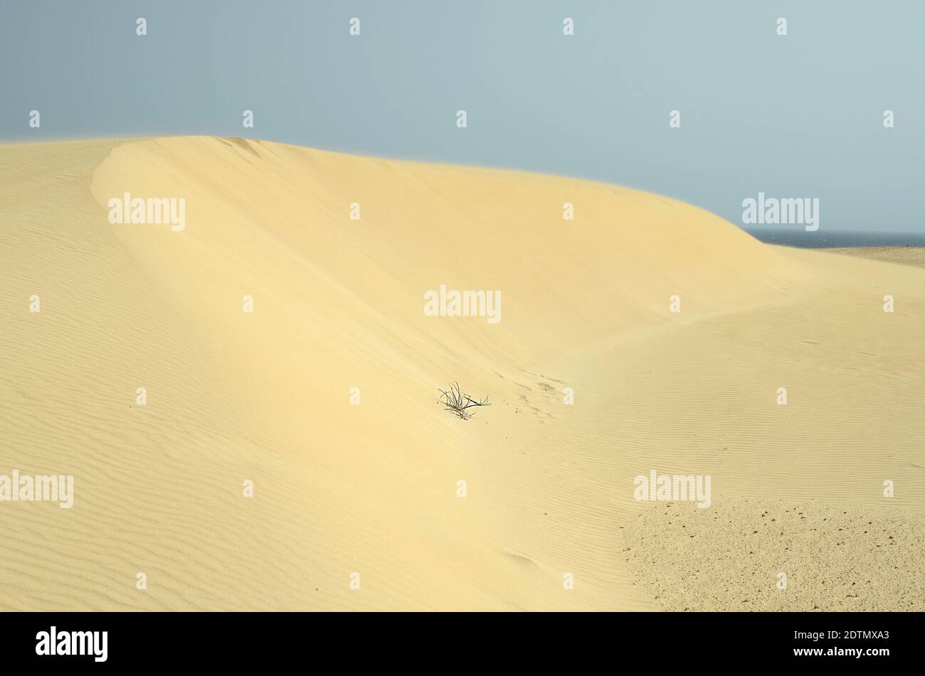 Spain, Canary Island, Fuerteventura, desert and dunes in nature park El ...