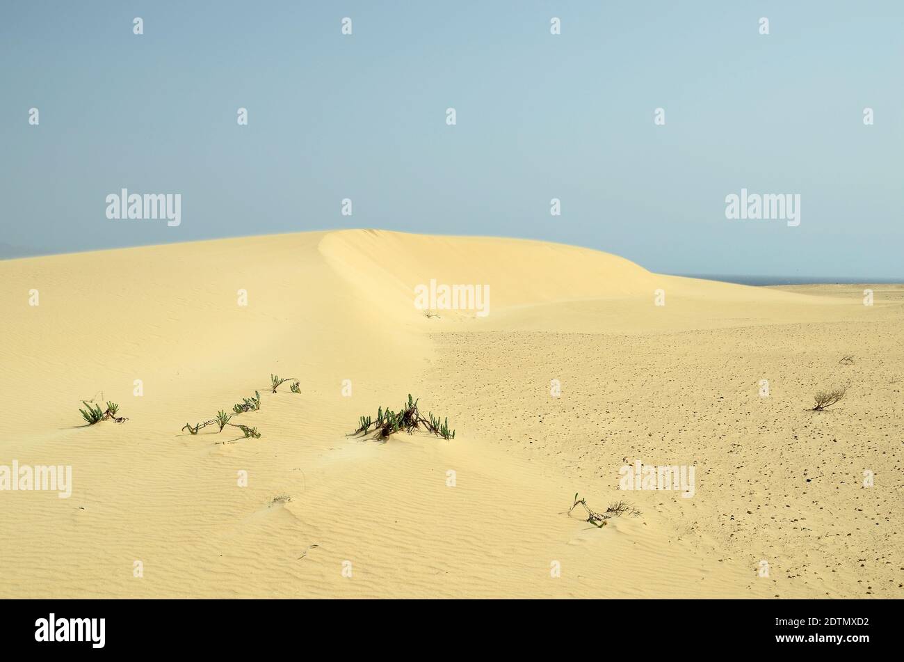 Spain, Canary Island, Fuerteventura, desert and dunes in nature park El ...