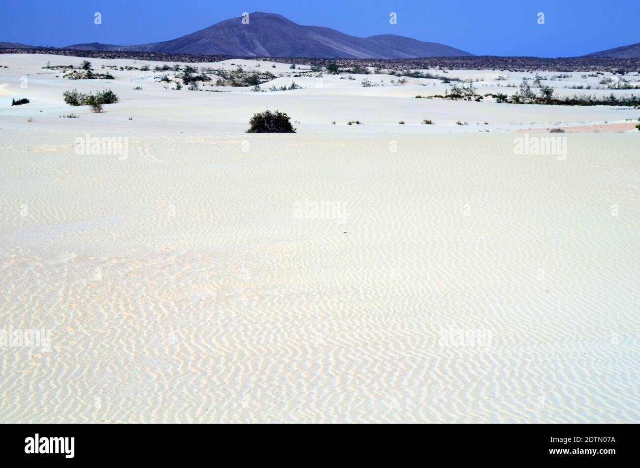 Spain, Canary Island, Fuerteventura, waves in the sand of dunes in nature park El Jable Stock ...