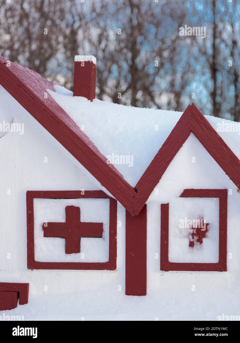 Typical elf houses near a traditional farm near Vik y Myrdal in Island ...