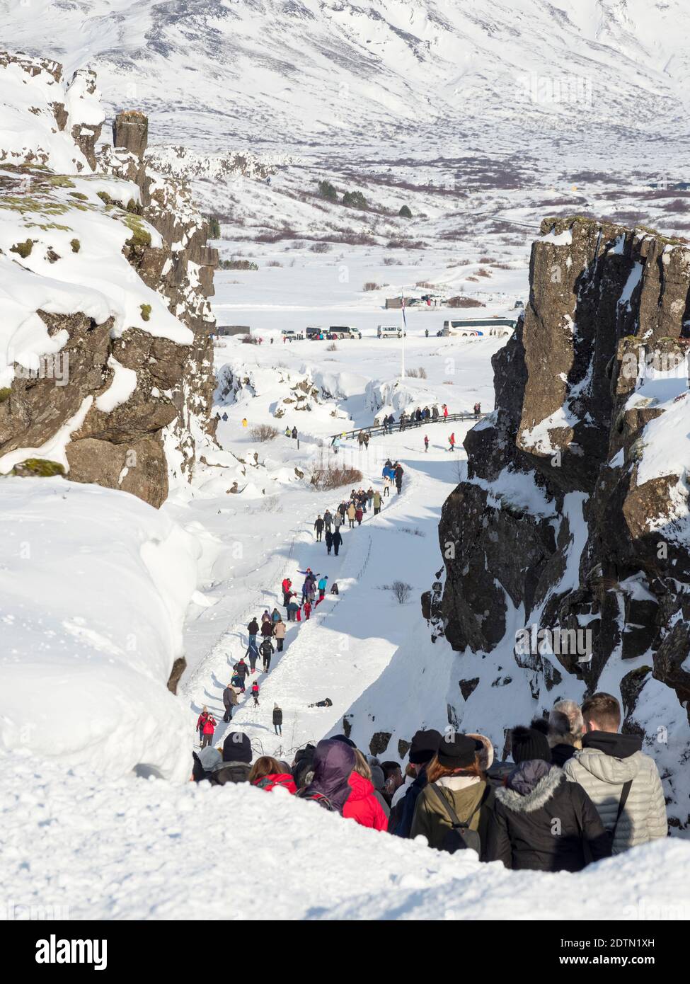 Iceland almannagja gorge hi-res stock photography and images - Alamy