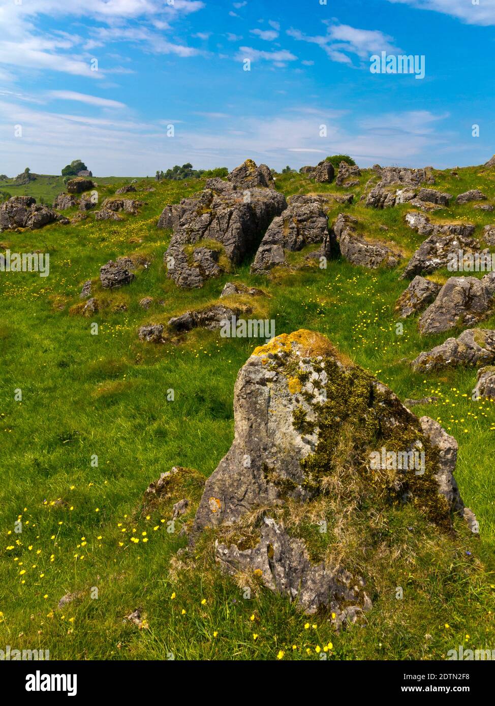 Uk pastures hi-res stock photography and images - Alamy