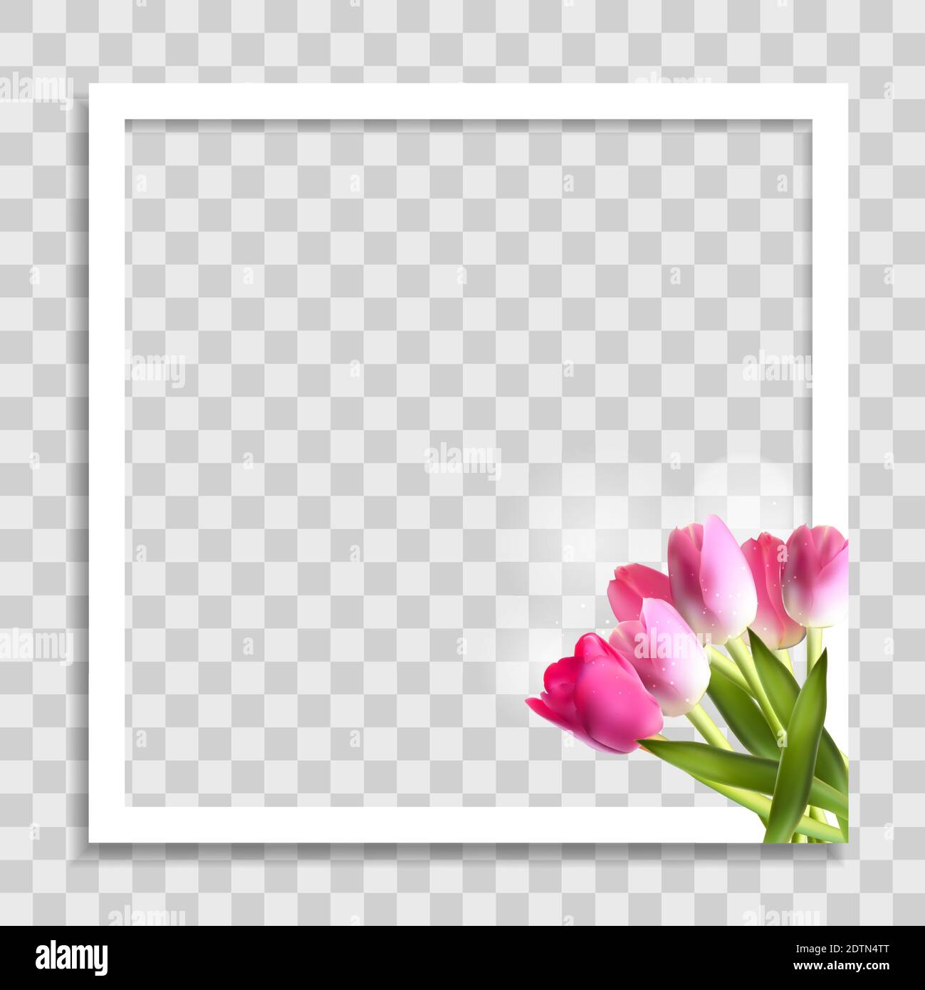 Empty Photo Frame Template with Spring Flowers for Media Post in Social ...
