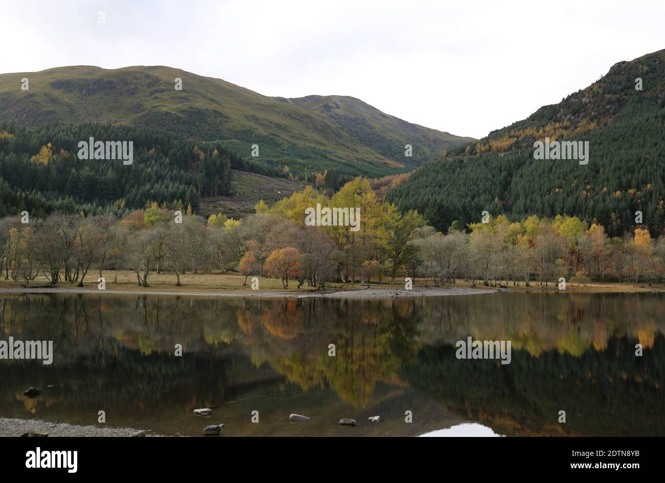 Scottish landscape with fall colors Stock Photo - Alamy