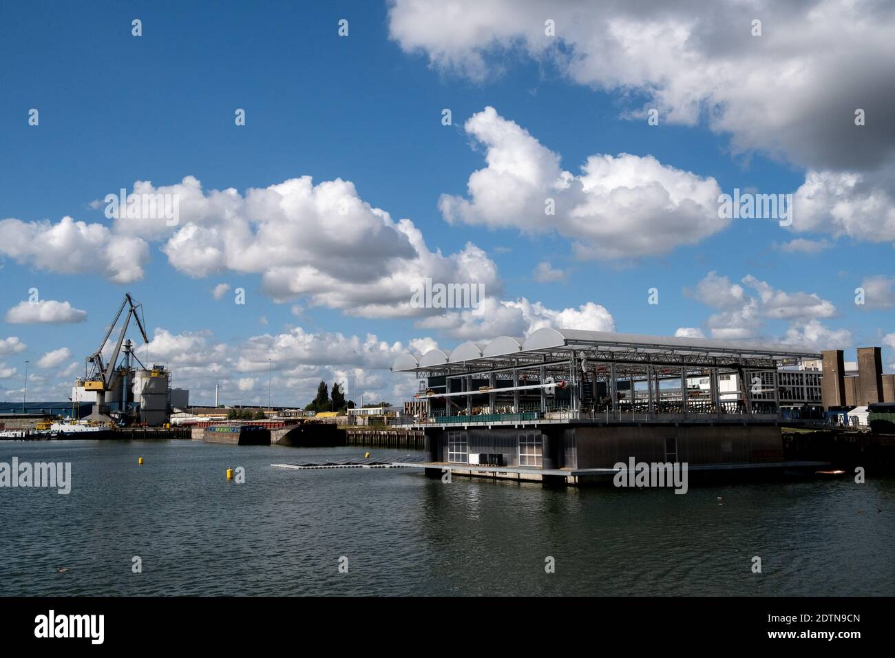 Floating farm cows hi-res stock photography and images - Alamy