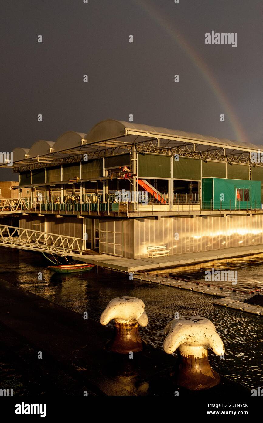 Floating farm cows hi-res stock photography and images - Alamy