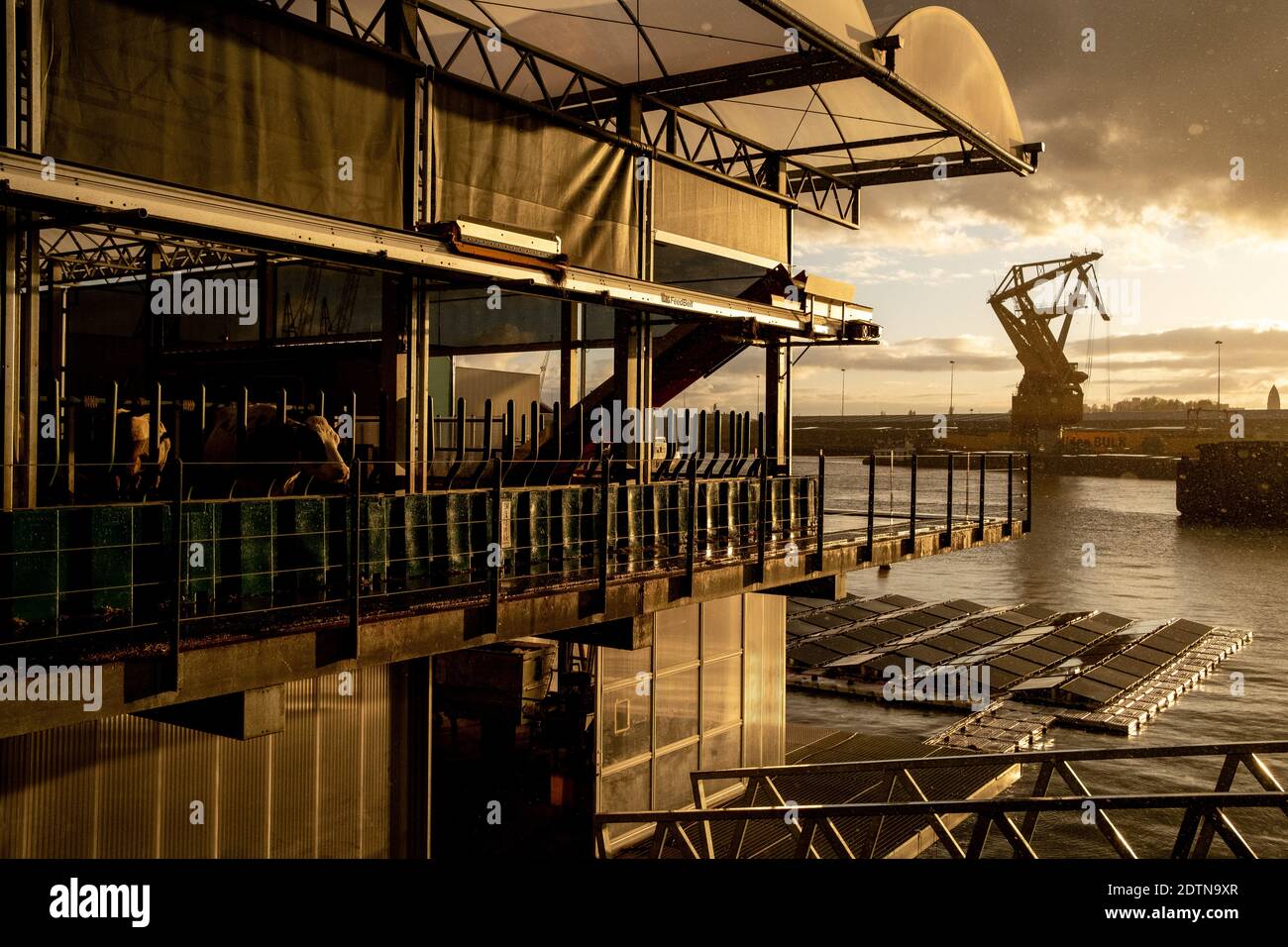 In the Netherlands, in the port of Rotterdam, there is an experimental ...