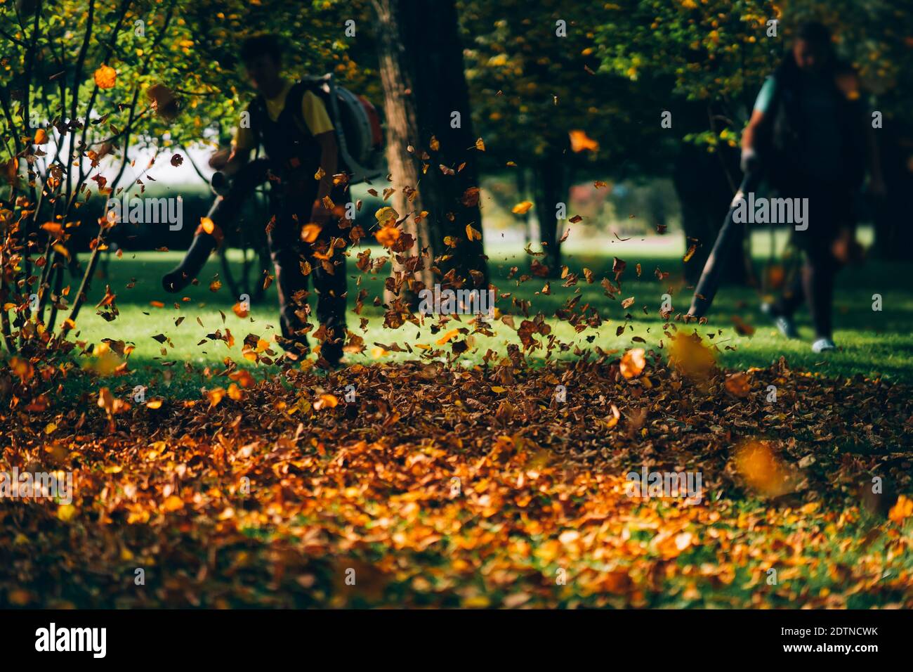 Woman blowing leaves leaf blower hi-res stock photography and images ...