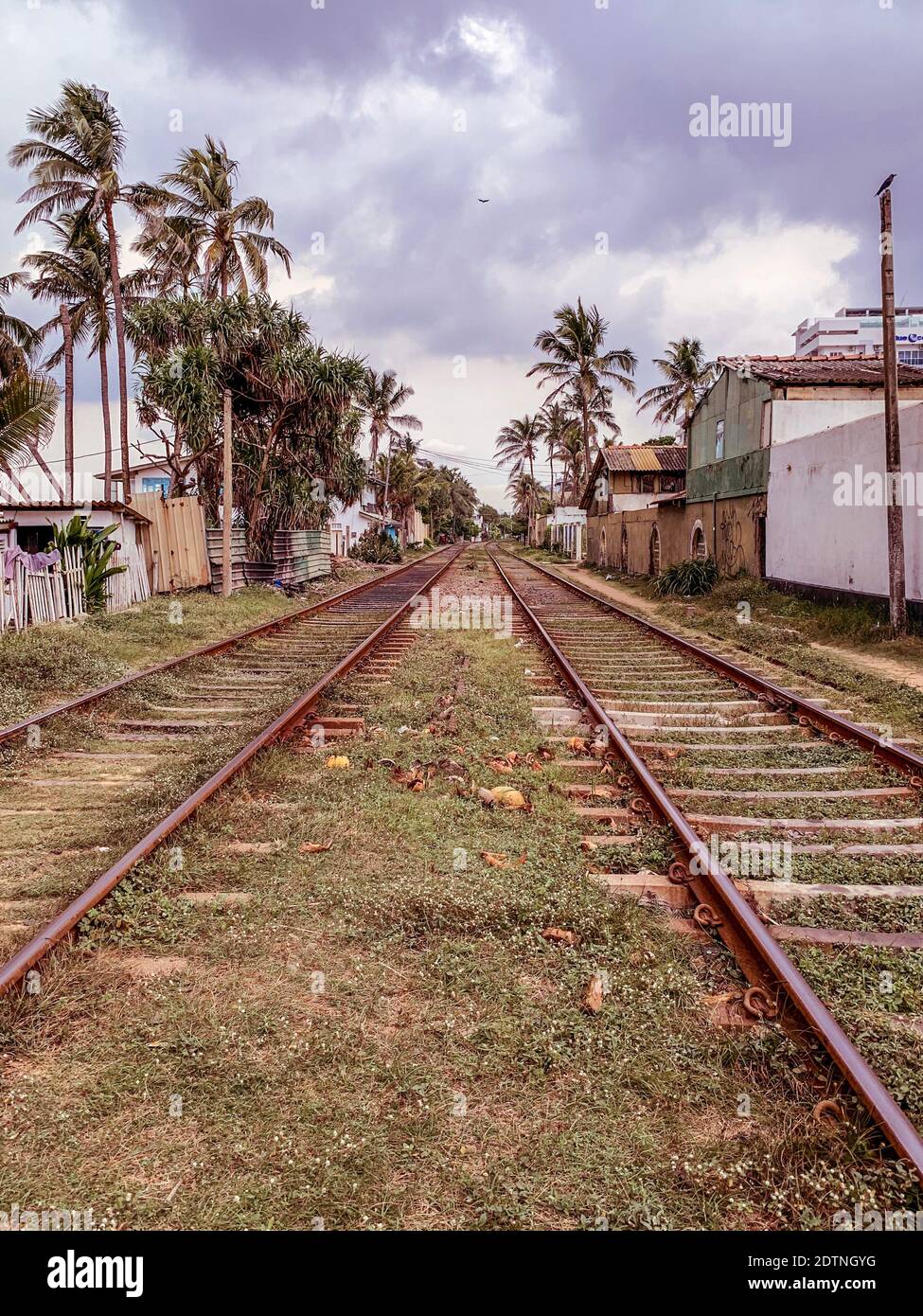 Train tracks in Sri Lanka Stock Photo - Alamy