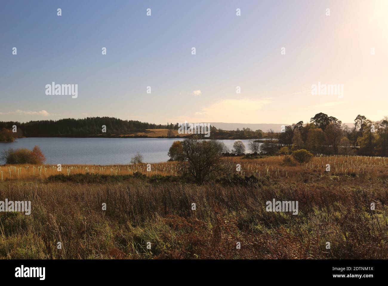Scottish landscape with fall colors Stock Photo - Alamy