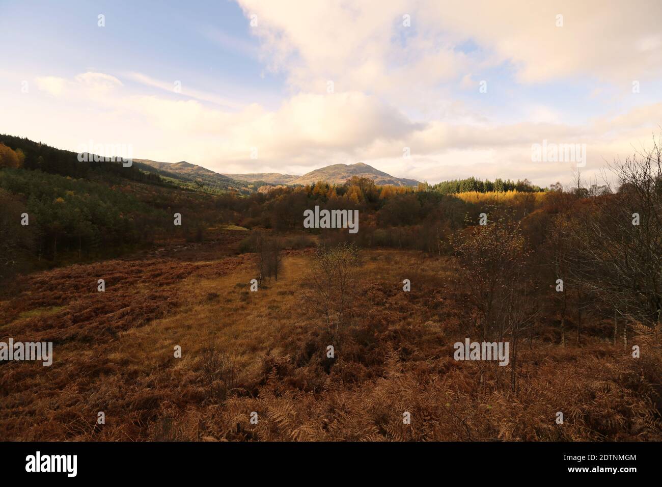 Scottish landscape with fall colors Stock Photo - Alamy