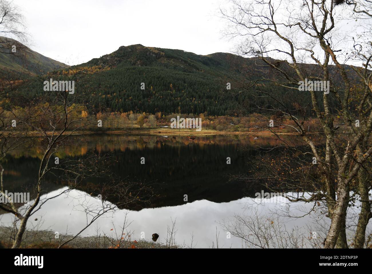 Scottish landscape with fall colors Stock Photo - Alamy