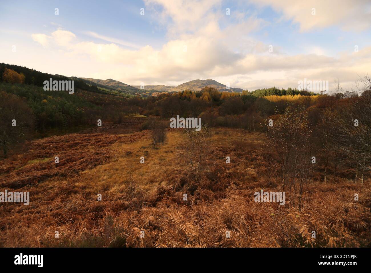 Scottish landscape with fall colors Stock Photo - Alamy