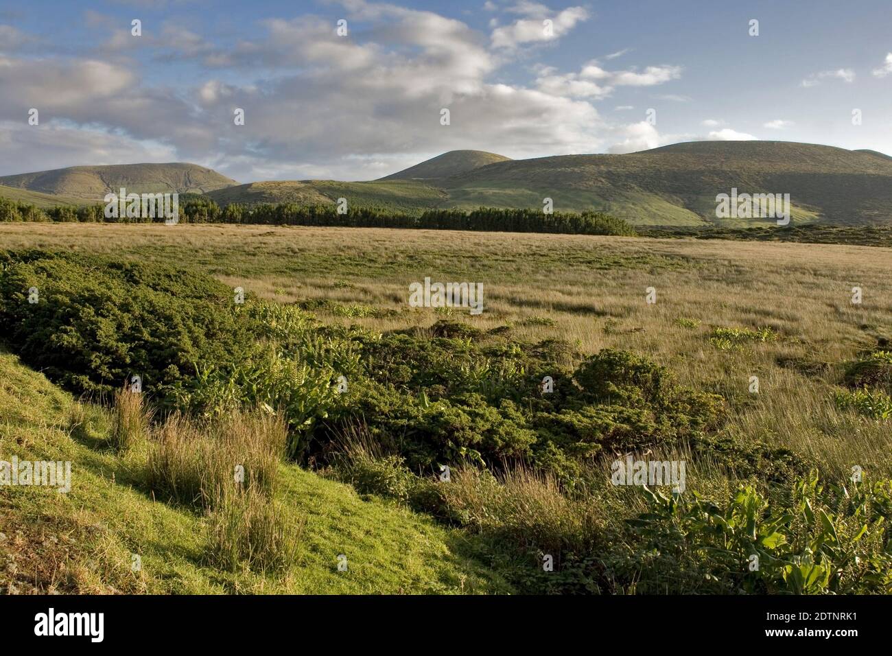 Caldeira azoren hi-res stock photography and images - Alamy