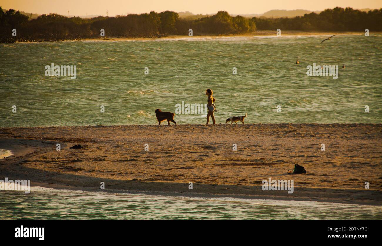 Riptide by the bay hi-res stock photography and images - Alamy