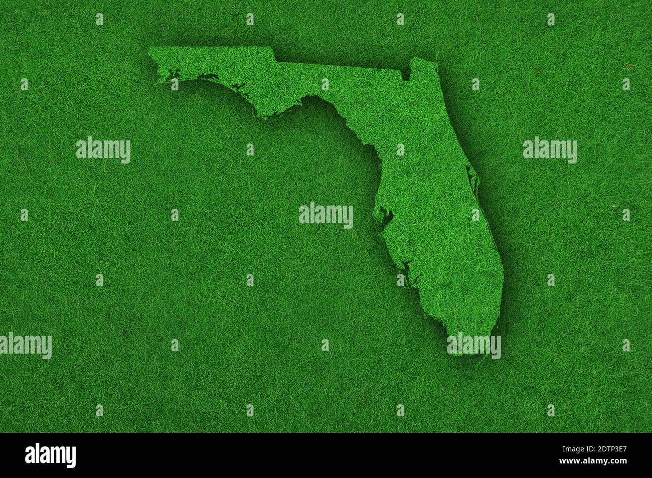 Map of Florida on green felt Stock Photo - Alamy