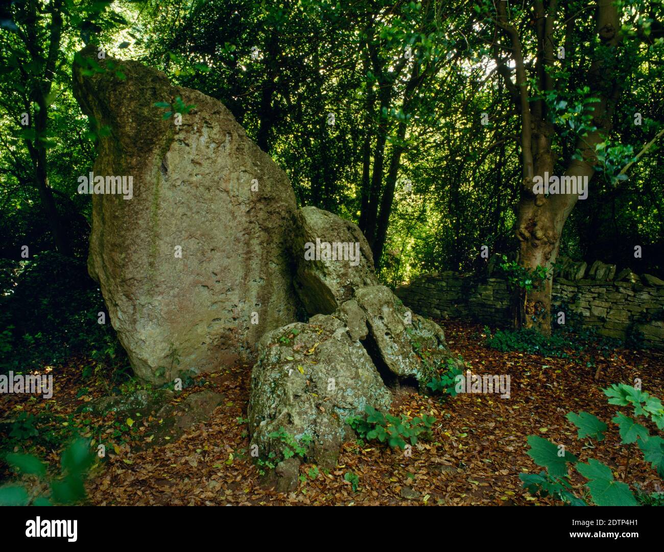 View SW of the three remaining stones of the Hoar Stone Neolithic ...