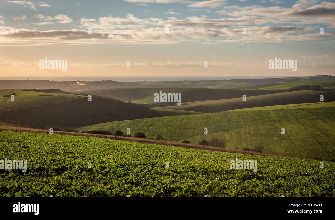 Firle beacon view hi-res stock photography and images - Alamy