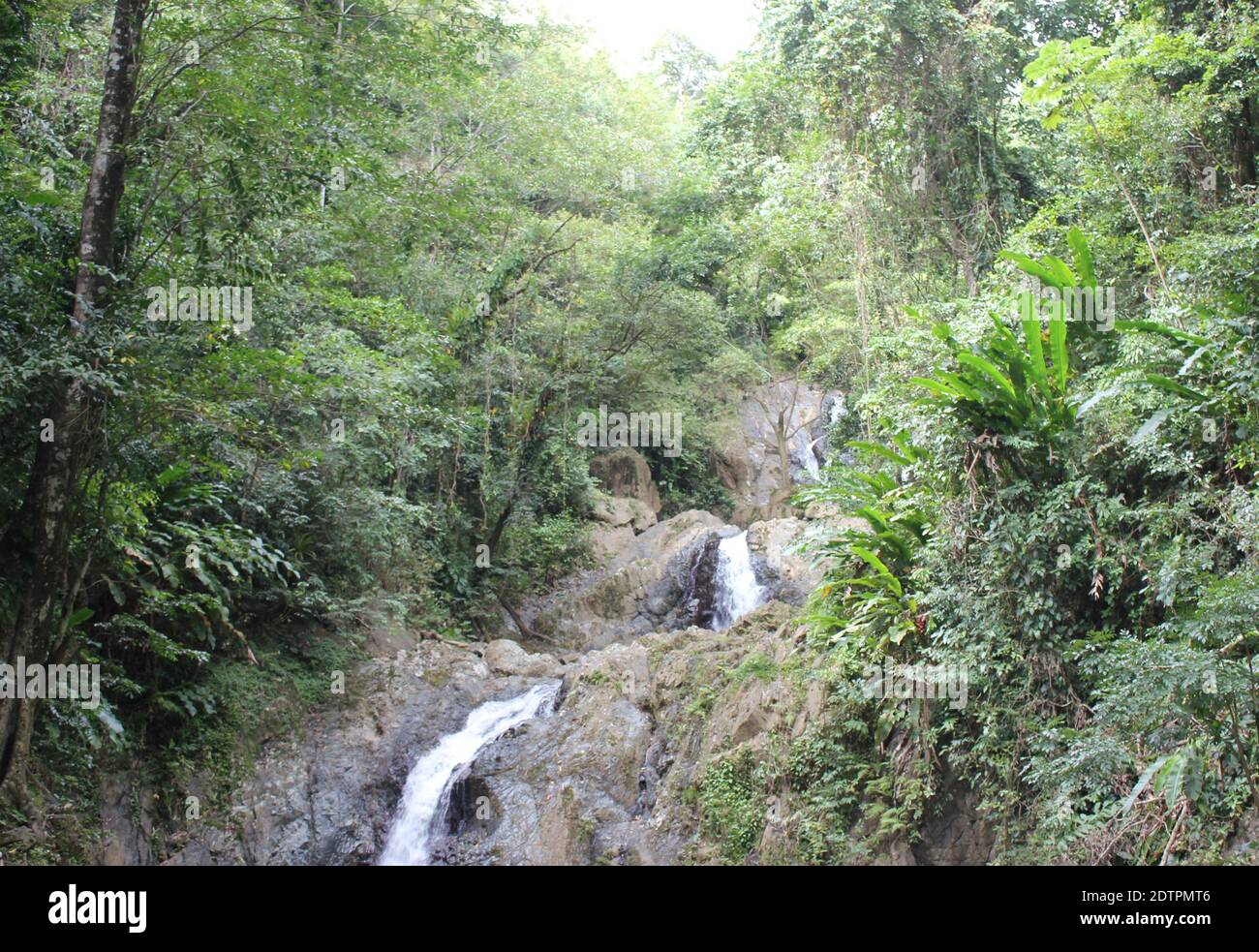 Waterfalls In Trinidad