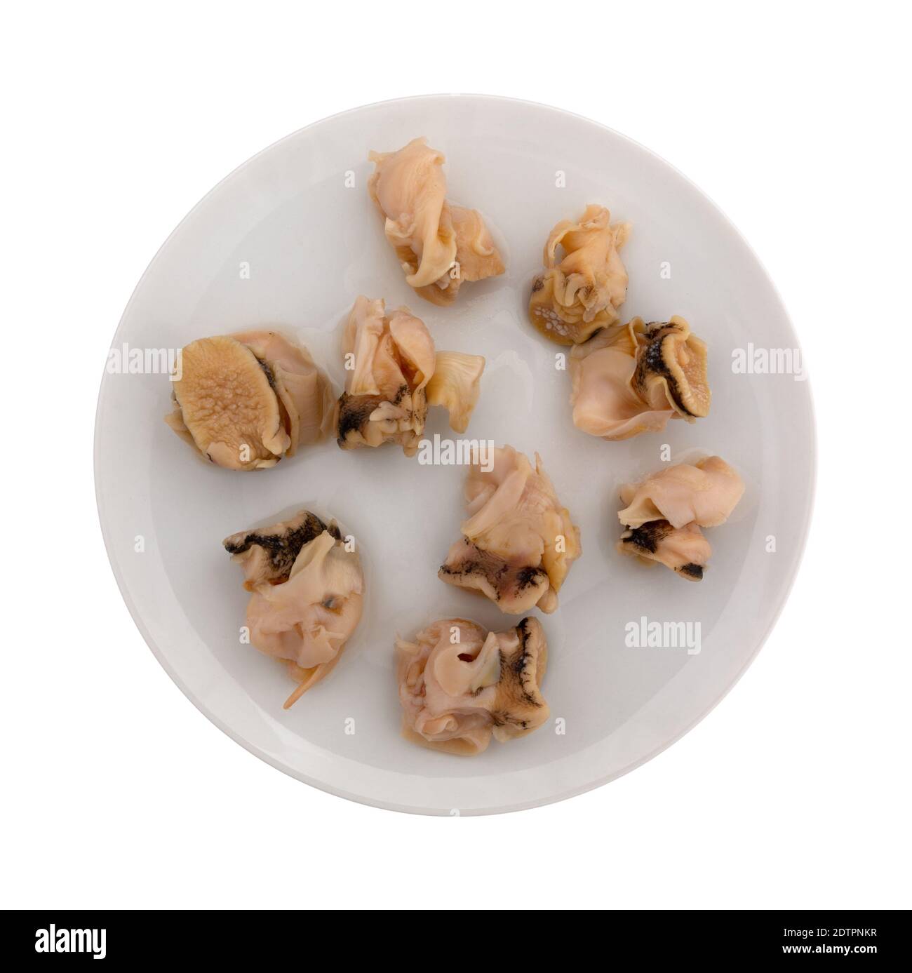 Snails plate isolated top view hi-res stock photography and images - Alamy
