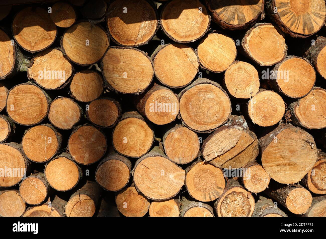A close up of wooden stacked logs for background Stock Photo - Alamy